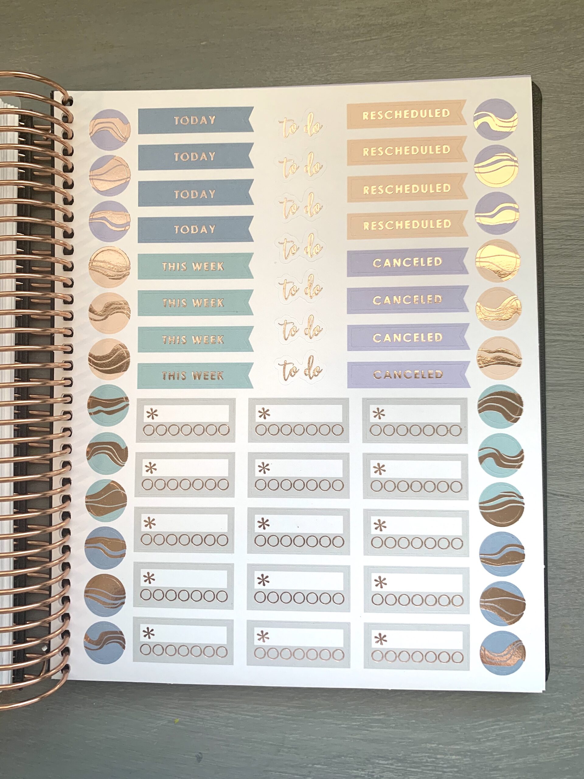 Getting my life on track again…. EC Planner 2021