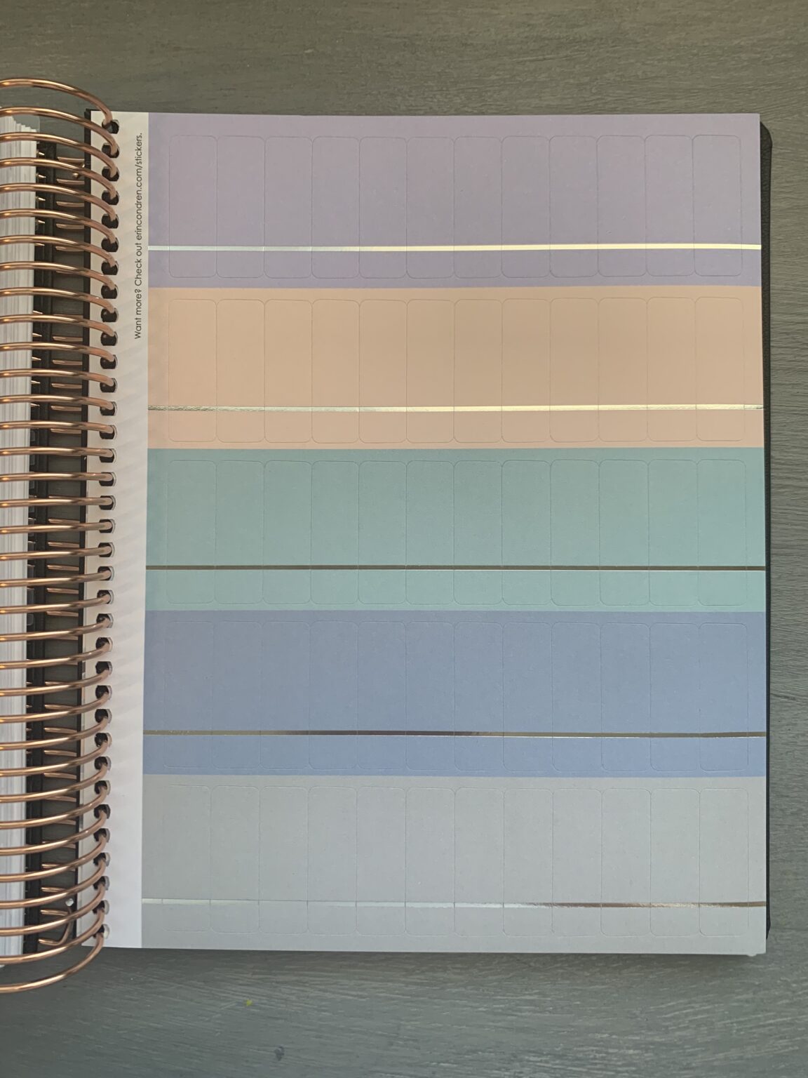 Getting my life on track again…. EC Planner 2021